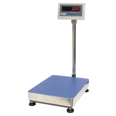 MIKI Digital Platform Scale