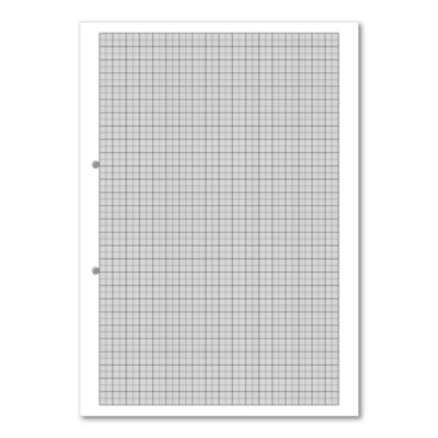 Exercise Graph Paper 10mm Punched A4 - Box of 2500