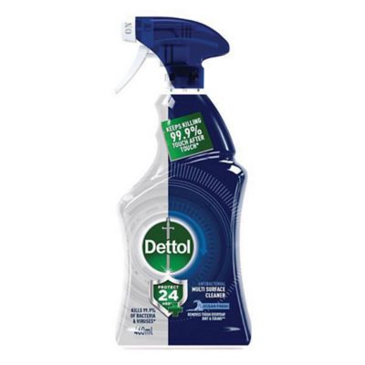 Dettol Protect24 Antibacterial Multi Surface Cleaner Spray 460 ml
